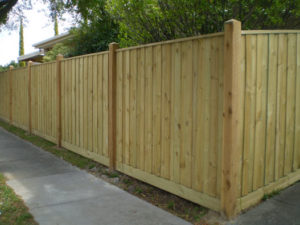 Timber Fencing Treated Pine Paling | Eastside Fencing